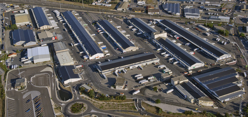 Saint Charles International