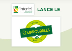 Saint Charles International